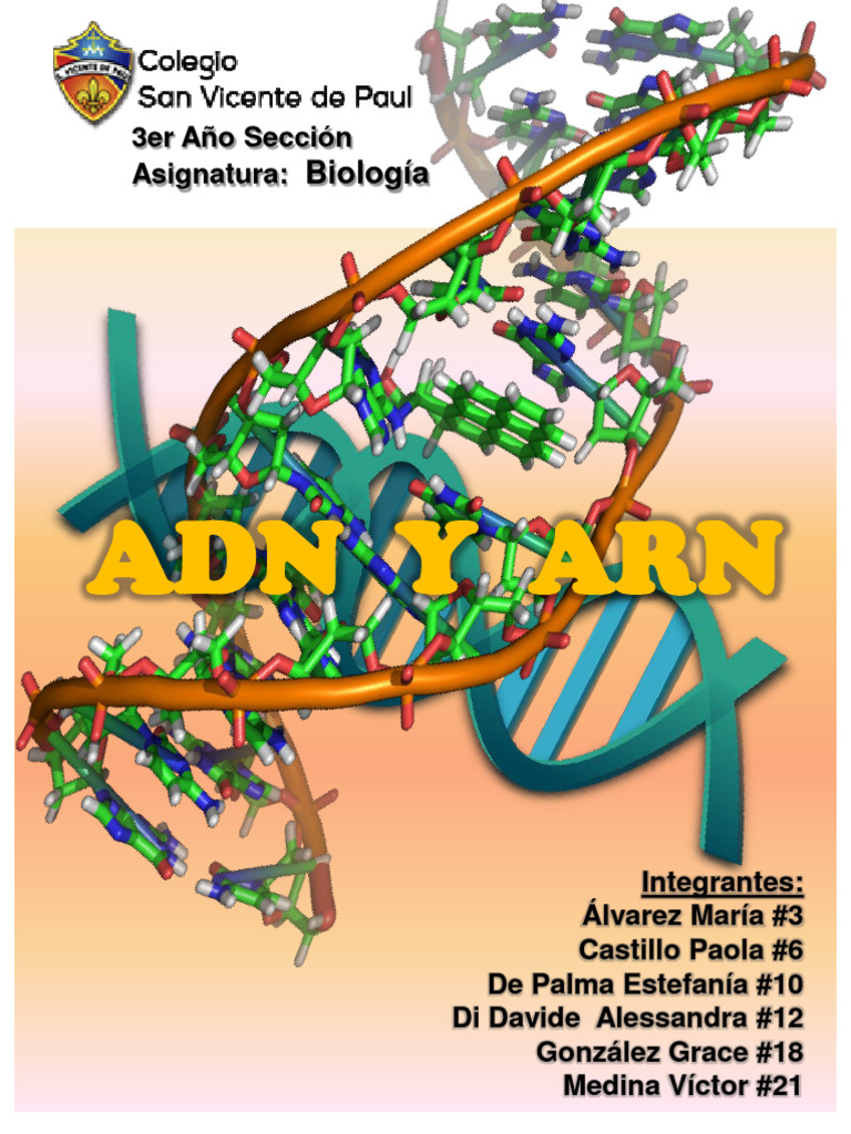 PRESENTACION ARN Y ADN | PDF | Rna | Adn