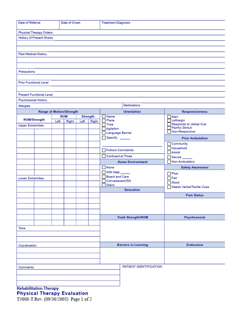Physical Therapy Evaluation Form | PDF