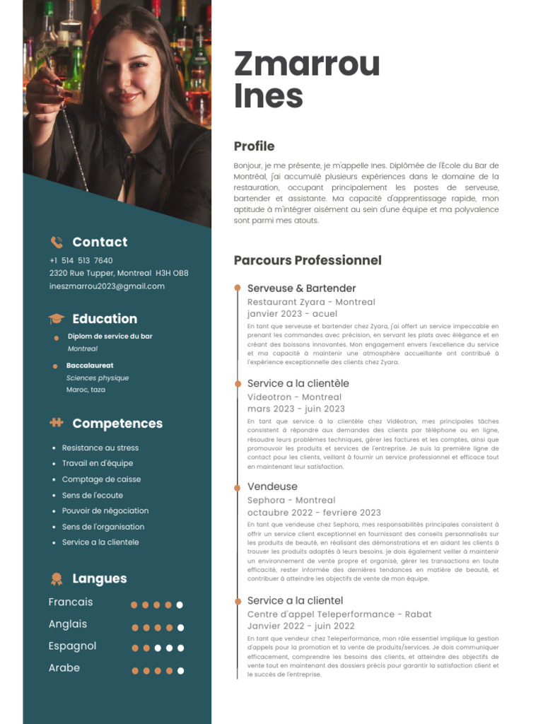 ines cv | PDF