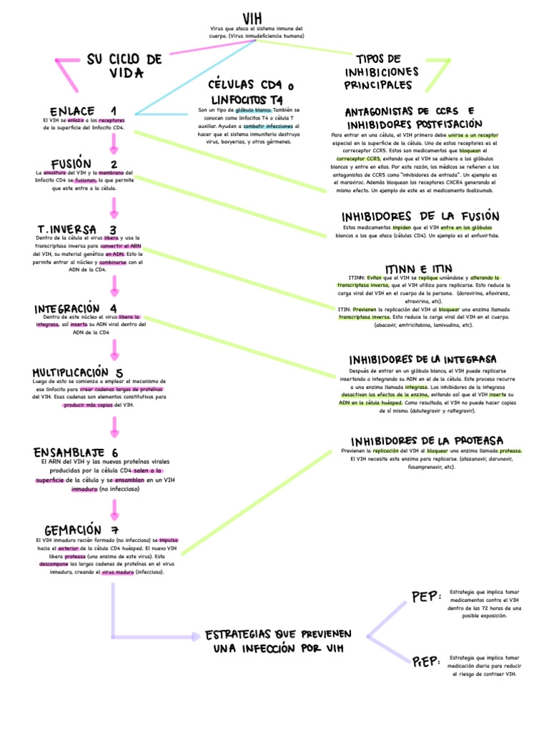Diagrama VIH | PDF | VIH | Virus