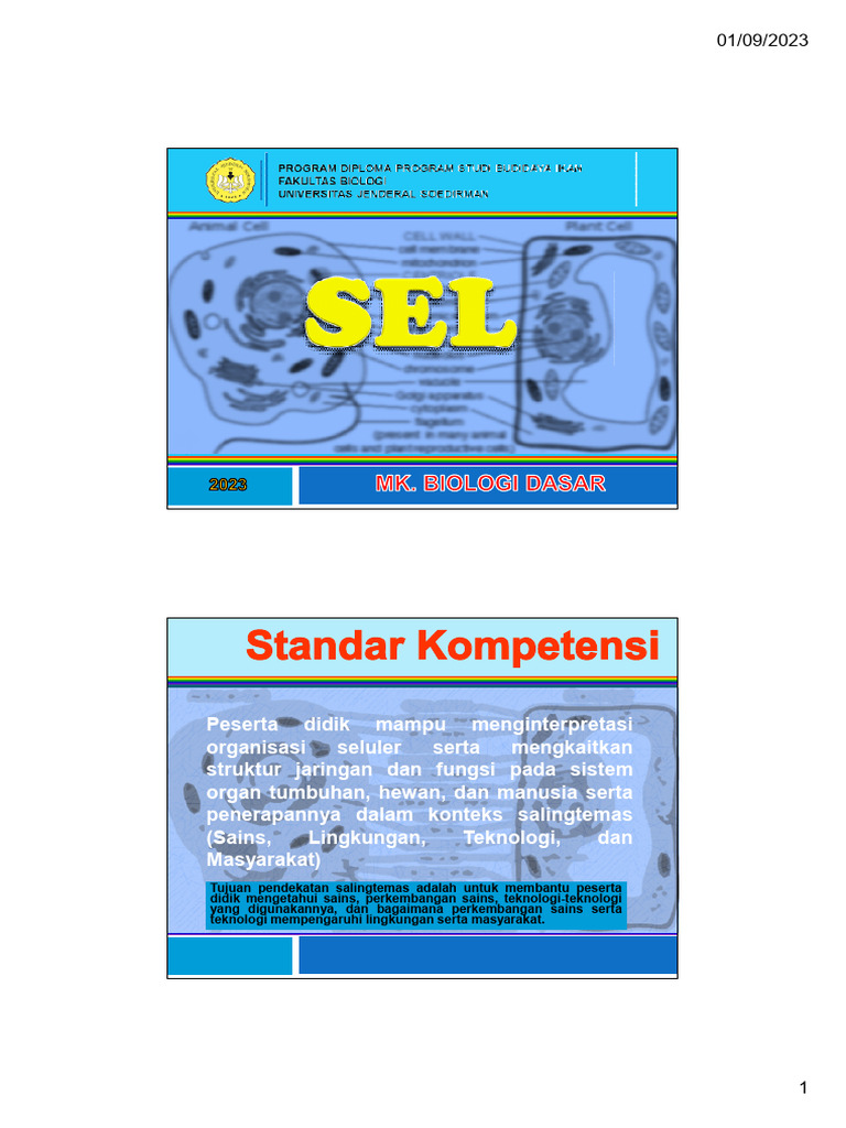 04.2023 2024 1 Struktur Fungsi Sel d3 Biodas k 2017 [Compatibility Mode ...