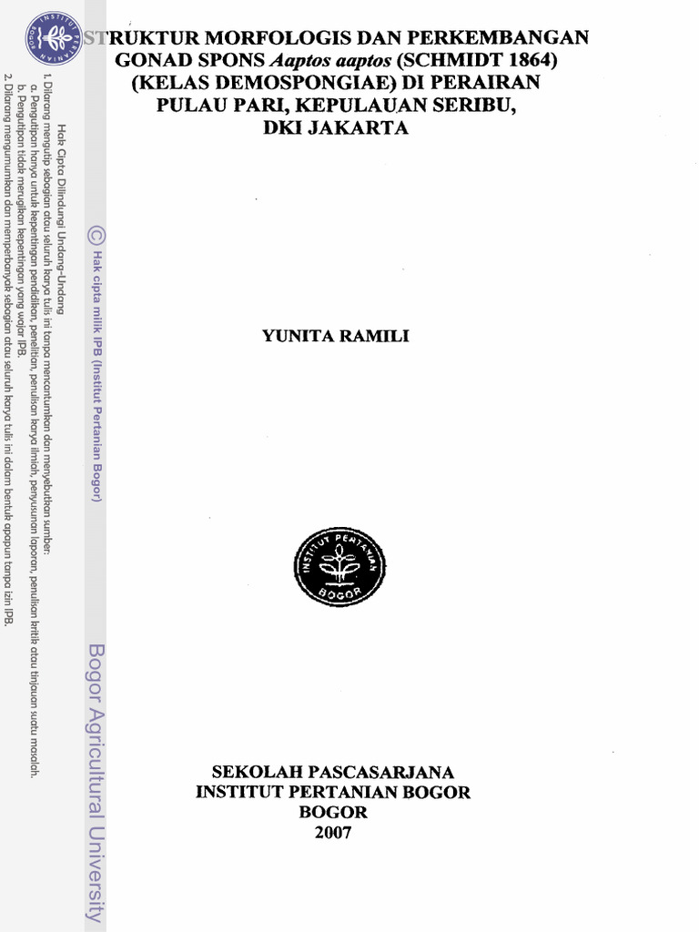 Morfologi dan Gonad Spons Aaptos aaptos | PDF