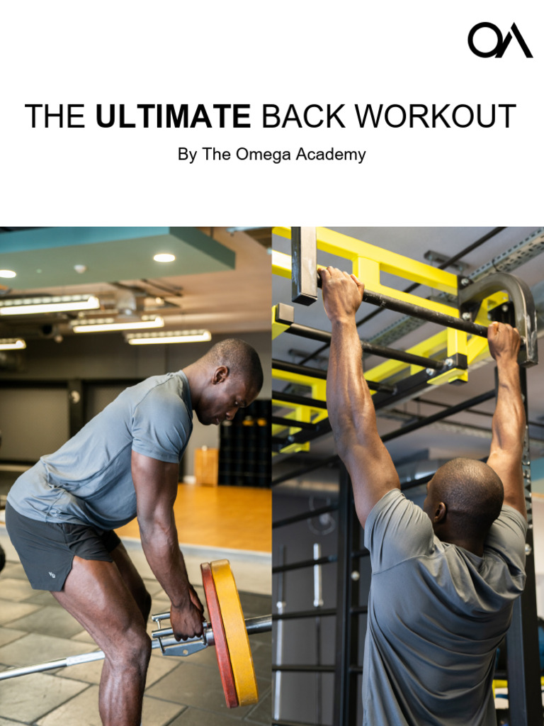 The Ultimate Back Workout Pdf Muscle Hypertrophy Skeletal Muscle