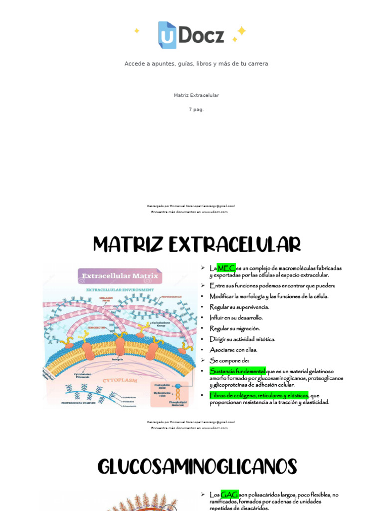 Matriz Extracelular 212855 Downloadable 4299170 Pdf La Matriz Extracelular Colágeno