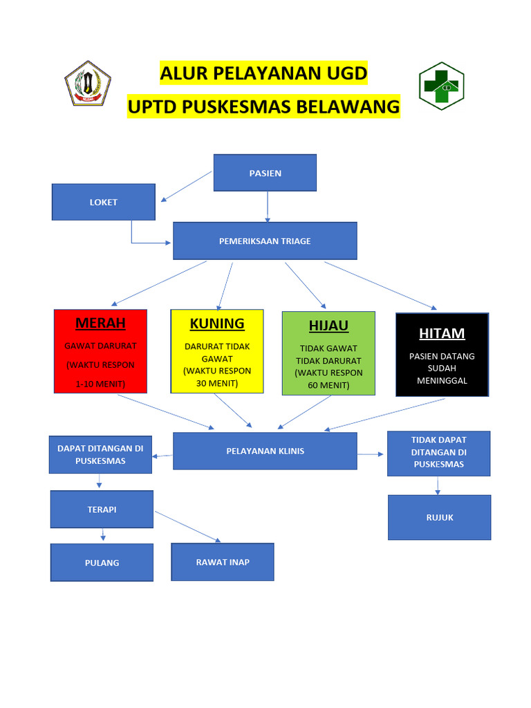 Alur Pelayanan Ugd | PDF