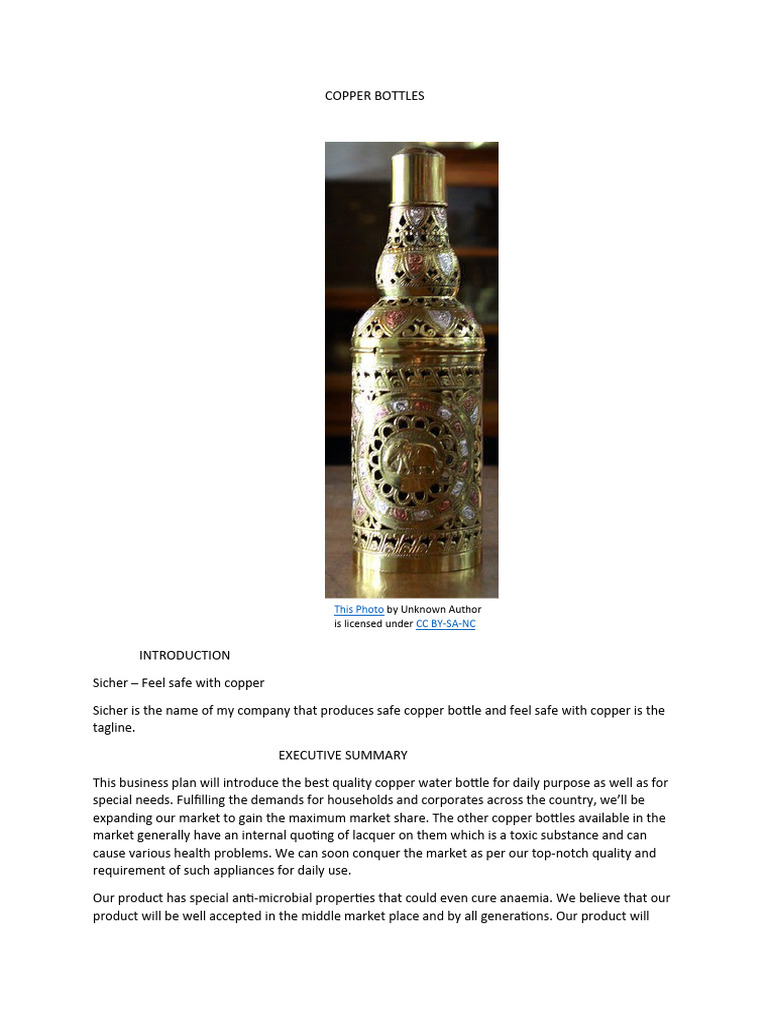 Copper Bottles | PDF | Brand | Market Segmentation