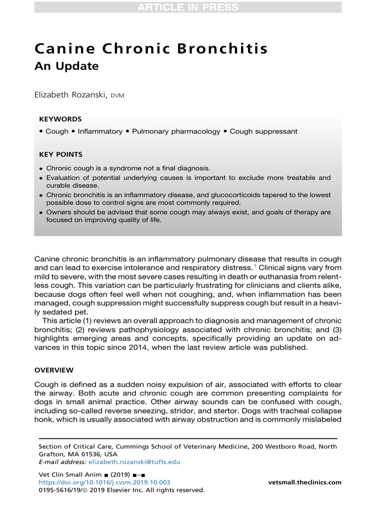 Canine Chronic Bronchitis Overview | PDF | Cough | Respiratory Diseases