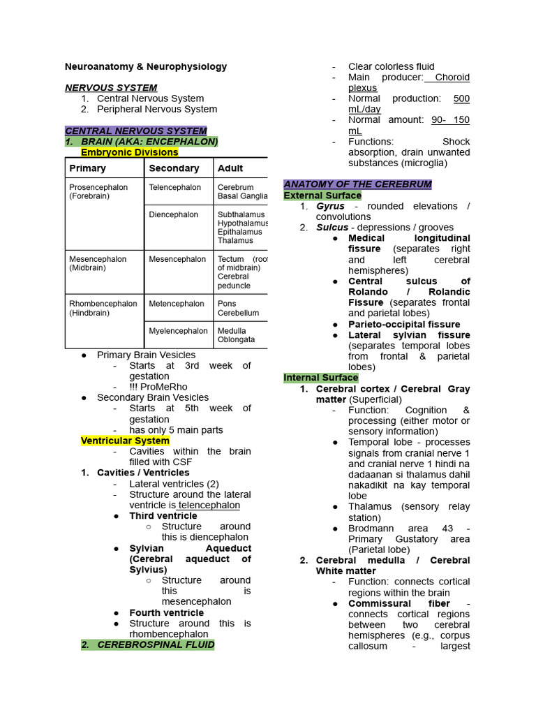 [REV] Neuroanatomy and Neurophysiology | PDF | Cerebral Cortex | Cerebrum