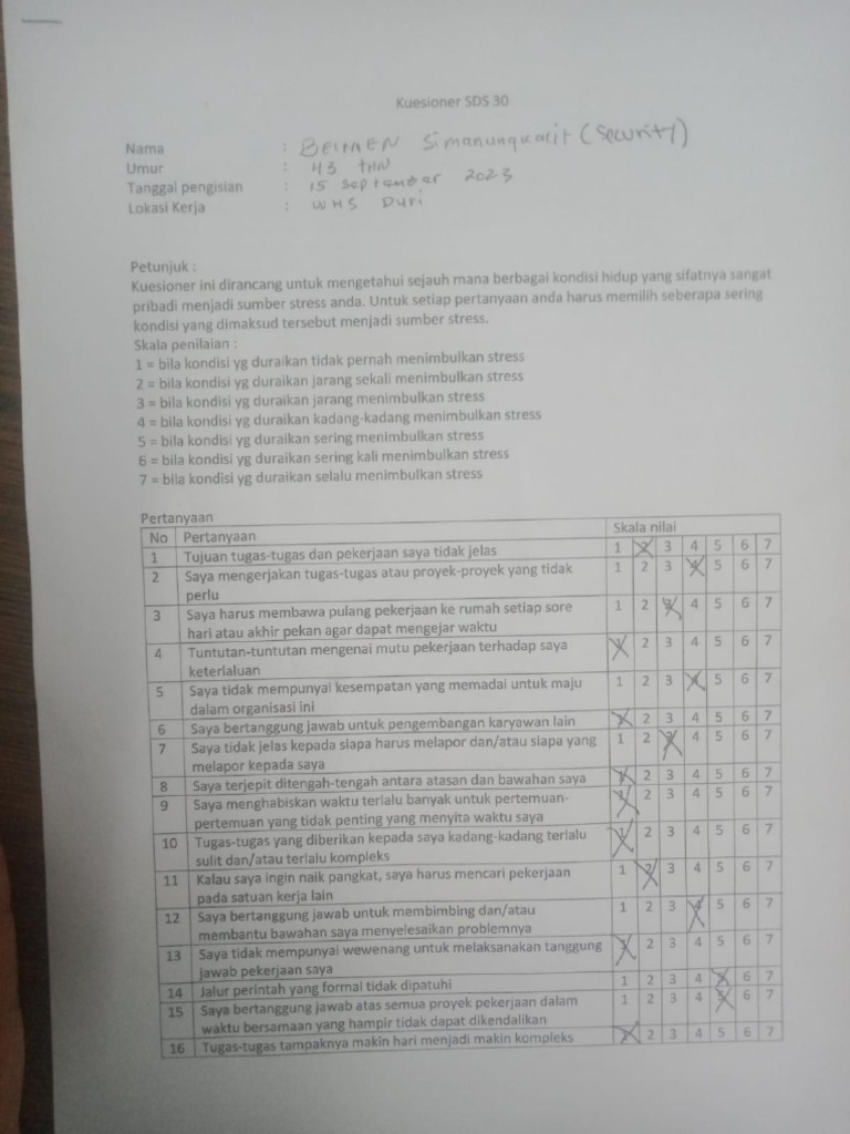 Kuisioner SDS 30 Belmen S (Security) | PDF