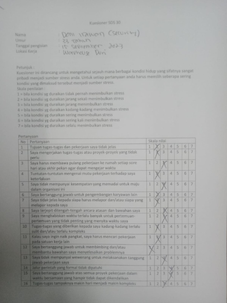 Kuisioner SDS 30 Doni Irawan (Security) | PDF