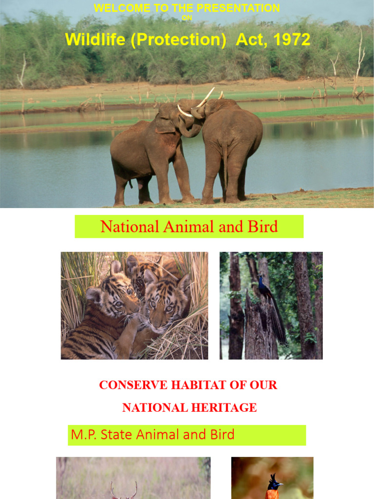 Wildlife (Protection) Act, 1972 | PDF | Natural Resource Management ...