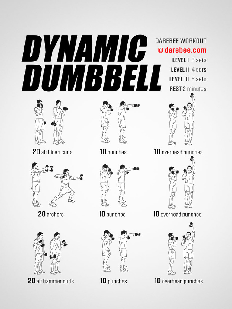 Dynamic Dumbbell Workout | PDF