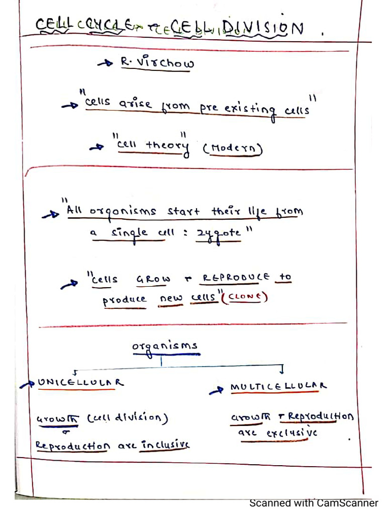 Cell Cycle and Cell Division 13.05.22 | PDF