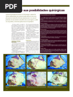 Omentos Mayor y Menor - Anatomía, Ubicación y Función - Kenhub | PDF ...