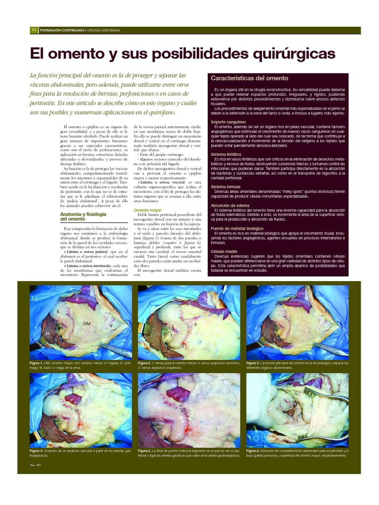 02 Omento | PDF | Abdomen | Estómago