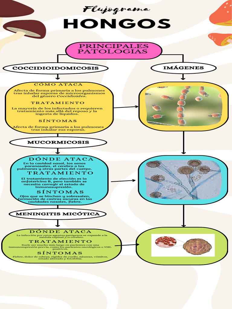 Hongos Patogenos | PDF | Microbiología | Medicina CLINICA