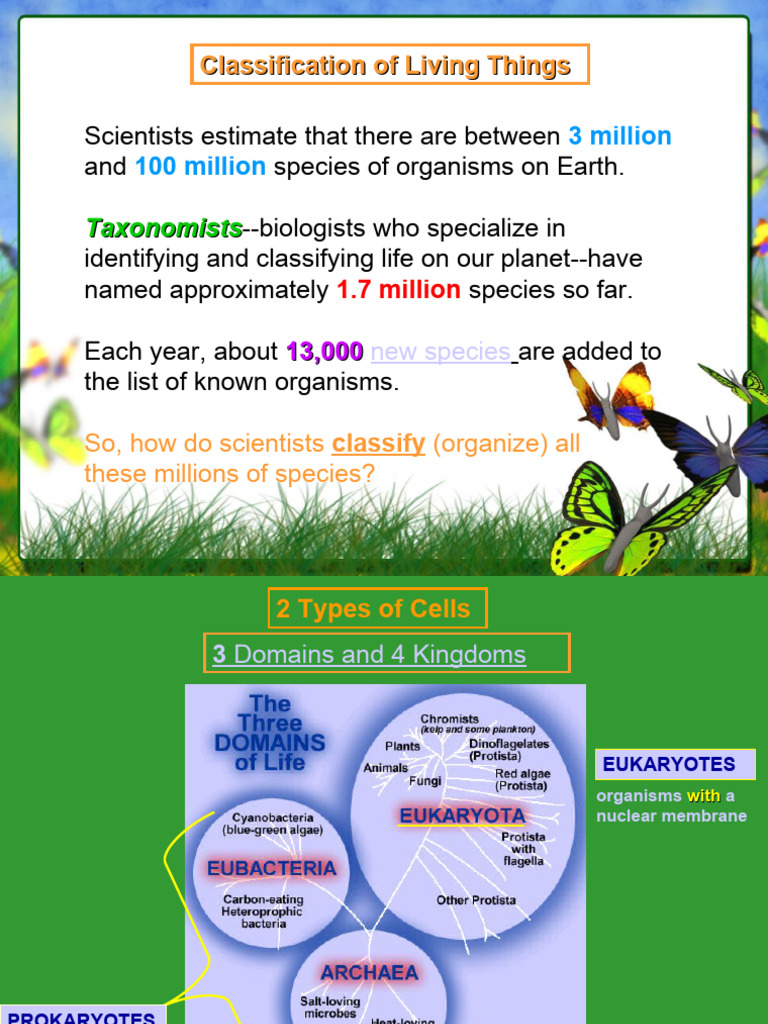 "Living Organisms Classification Guide" | PDF | Organisms | Plants