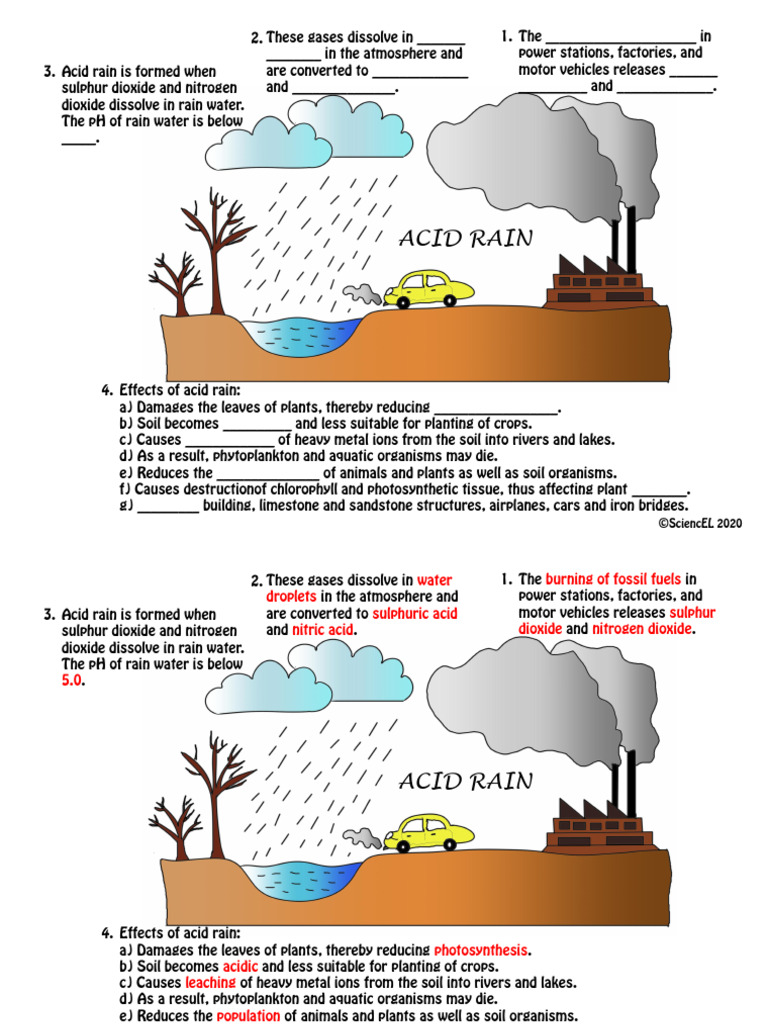Acid Rain: Causes and Effects | PDF | Soil | Plants