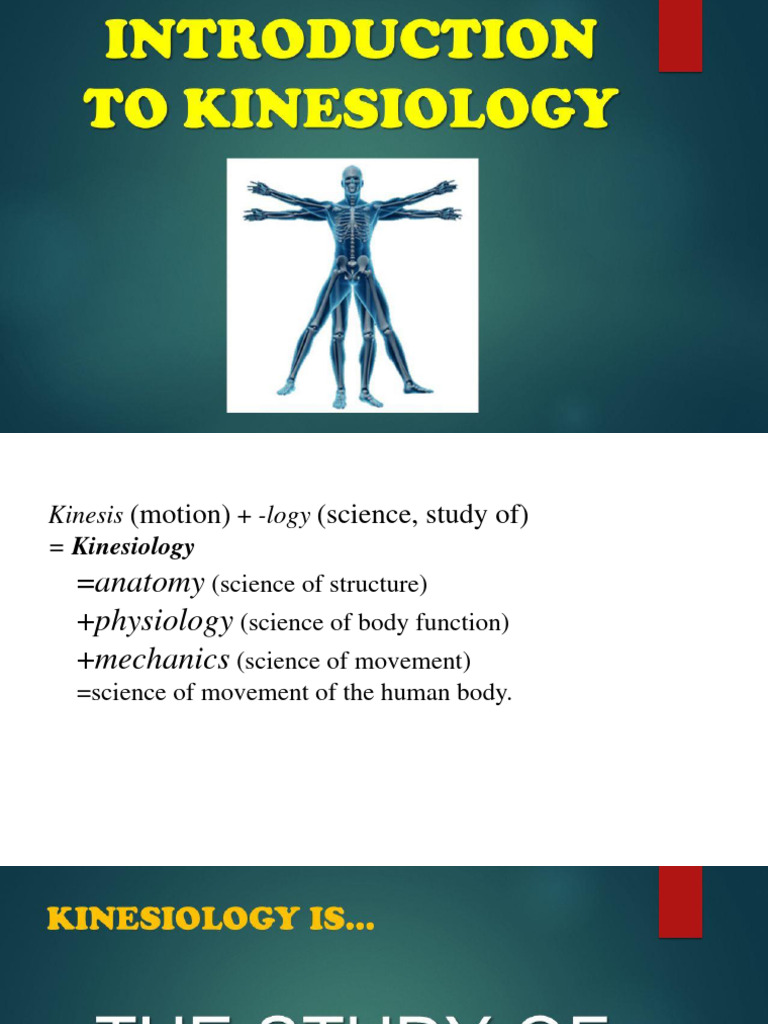 Introduction of Human Movement | PDF | Anatomical Terms Of Motion ...