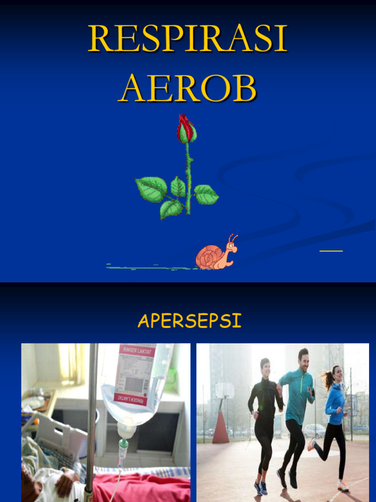 Mistarina - Media - 1 - Respirasi Aerob | PDF