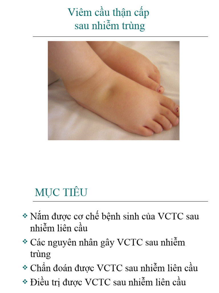 VCTC Gui SV | PDF
