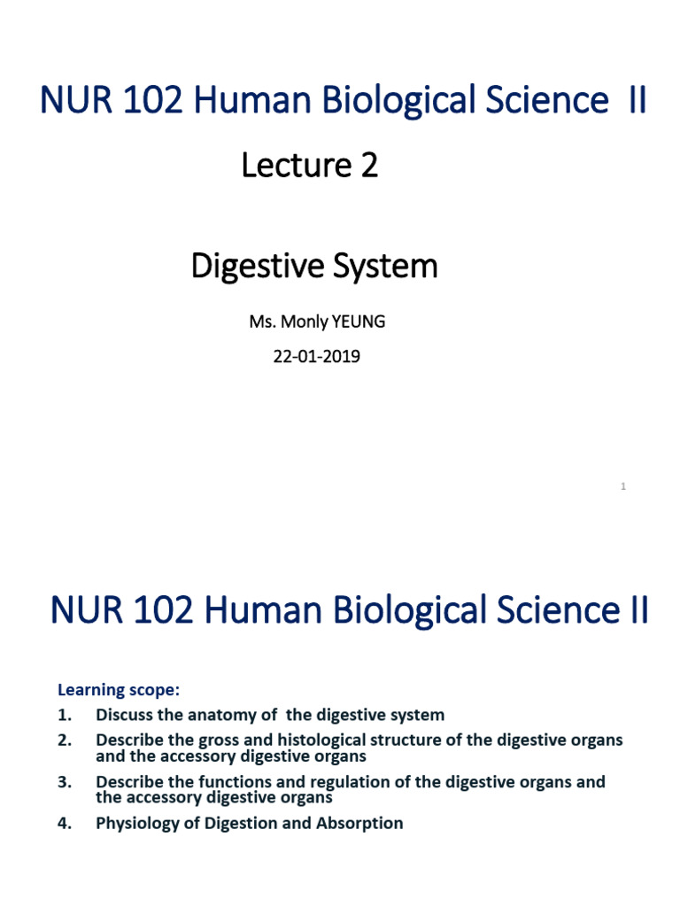 Digestive System Anatomy and Physiology | PDF | Gastrointestinal Tract ...