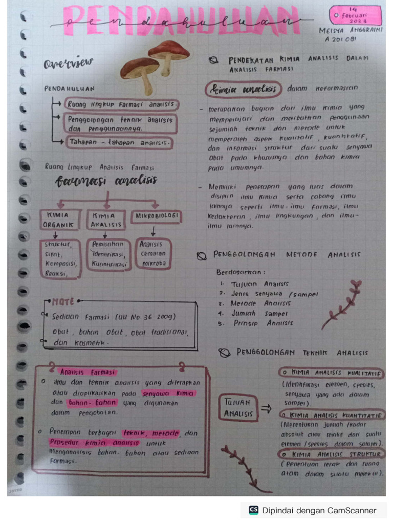 Meisya Anggraini - A201081 - RP6B - Catatan Analisis Farmasi | PDF
