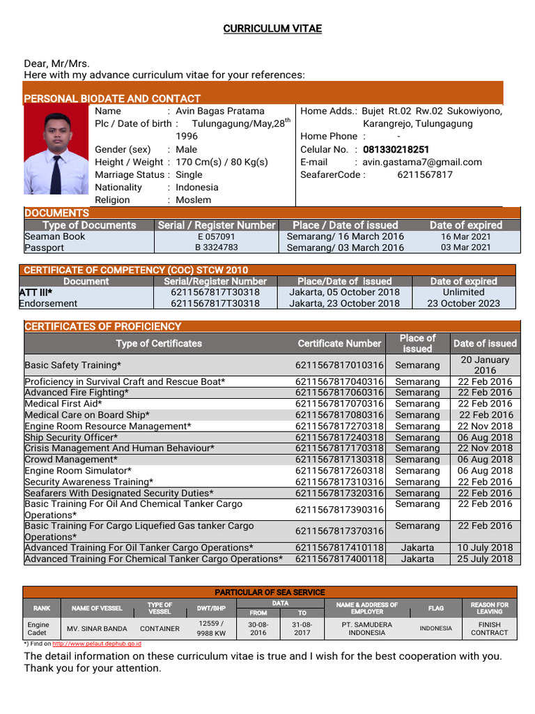 CV Avin Bagas | PDF