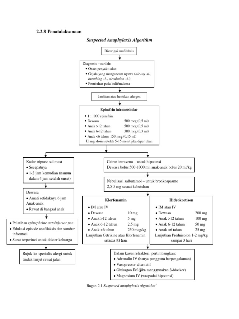 Anaphylaxis Algorithm | PDF Anaphylaxis Algorithm | PDF