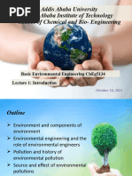 Environmental Issues Project | PDF | Natural Environment | Sound