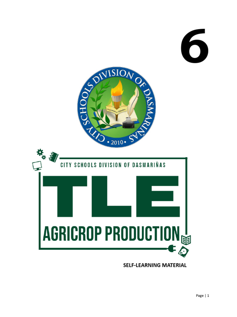 EPP6 Agriculture SLM | PDF | Grafting | Trees