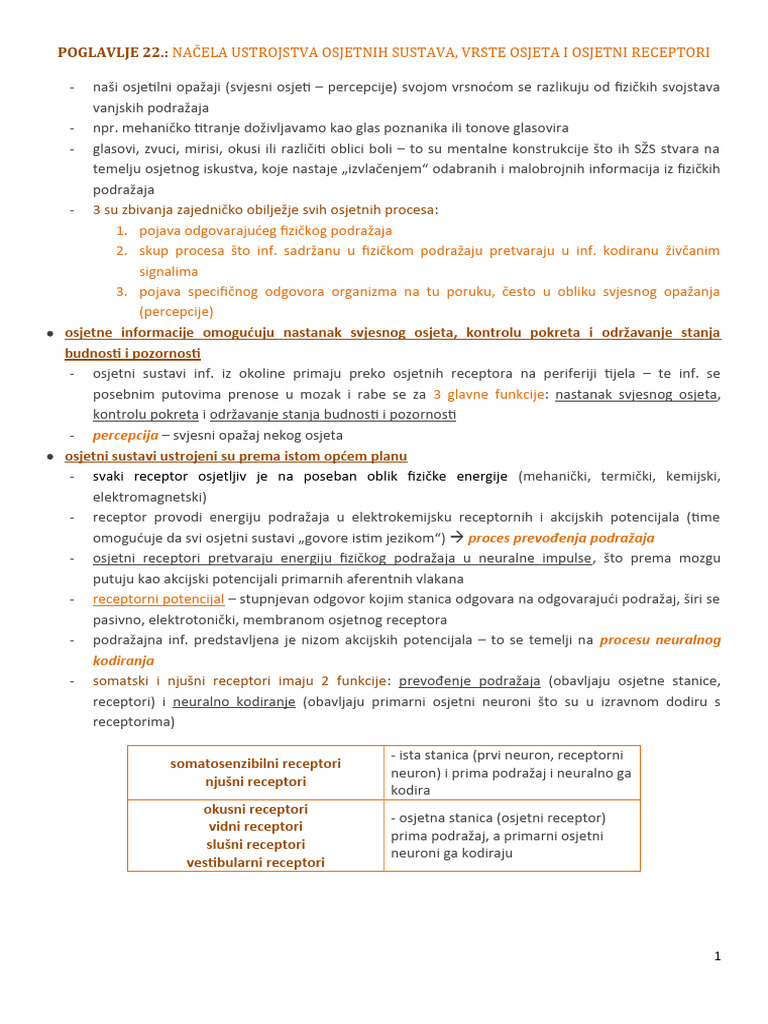 Anat 2 | PDF