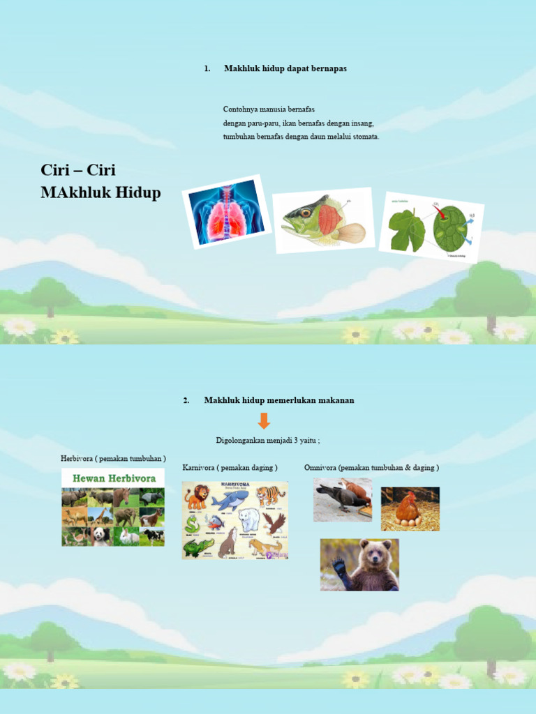 Ciri-Ciri Makhluk Hidup dan Contohnya | PDF