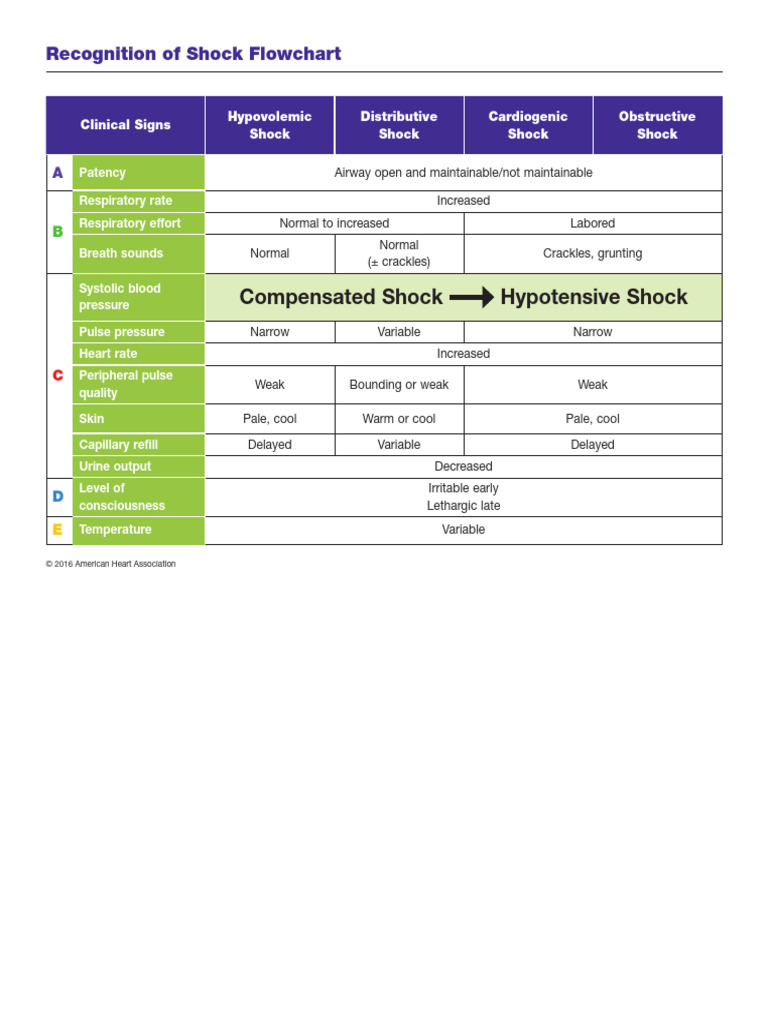 Recog Shock Flowchart | PDF