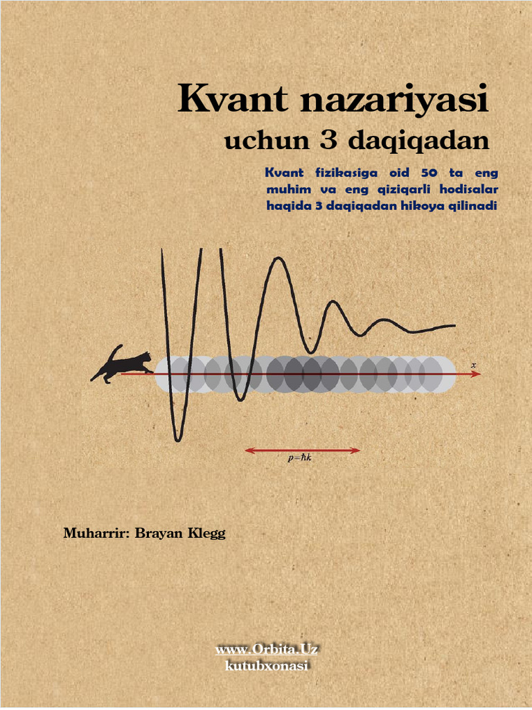 Kvant Nazariyasi Uchun 3 Daqiqadan | PDF
