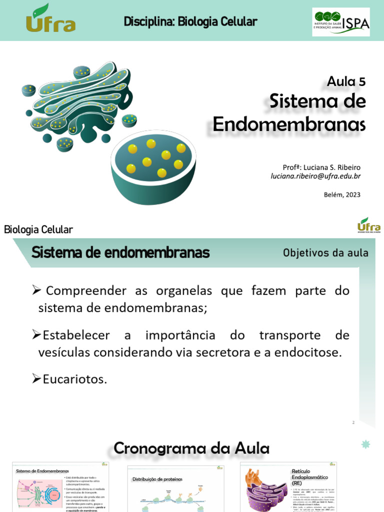 Aula 5 - Sistema de Endomembranas | PDF | Retículo endoplasmático ...