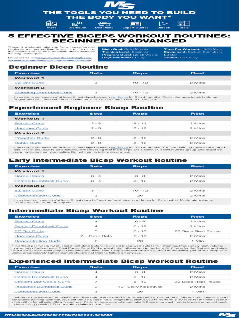 The Tools You Need To Build The Body You Want: 5 Effective Biceps Workout Routines: Beginner To ...