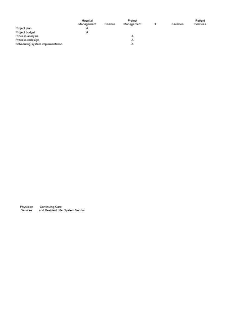 Responsibility Matrix | PDF