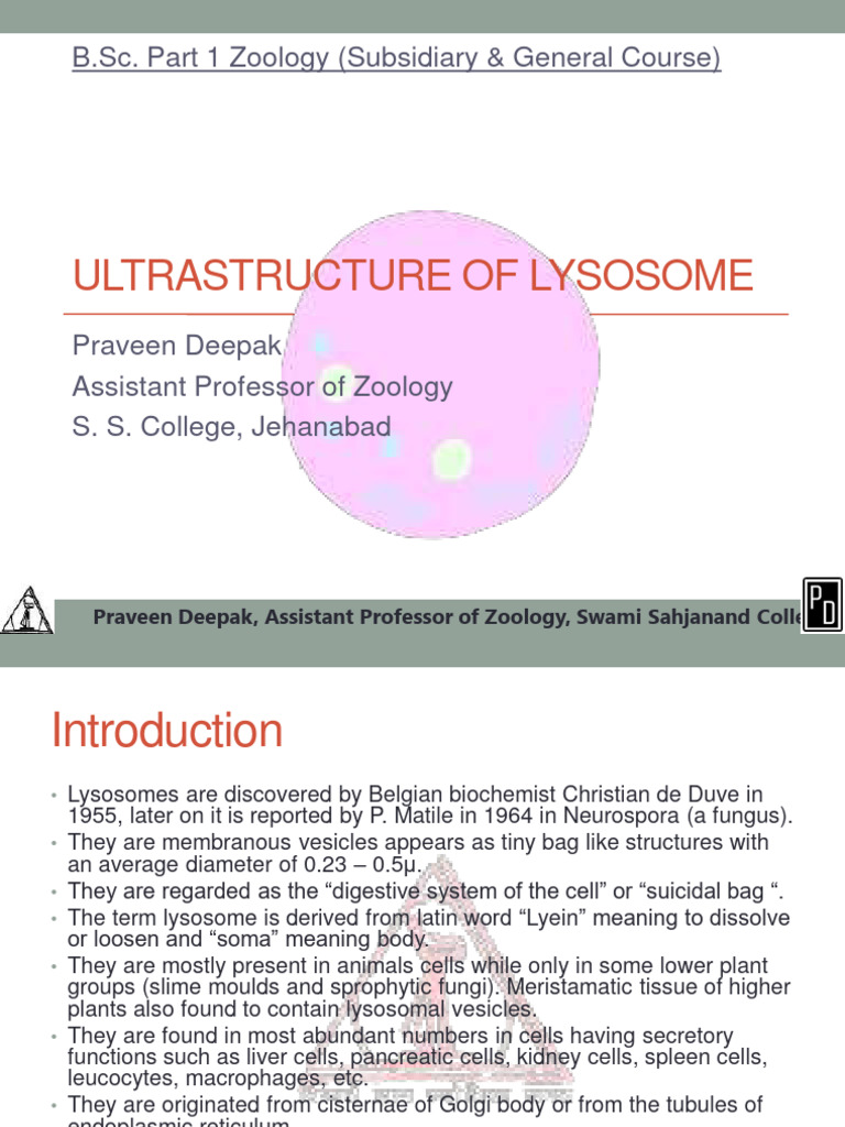 1395631898ultrastructure of Lysosome | PDF | Lysosome | Vacuole