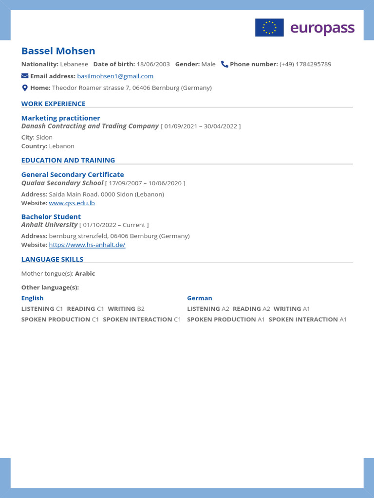 CV - Bassel Mohsen | PDF | Career & Growth