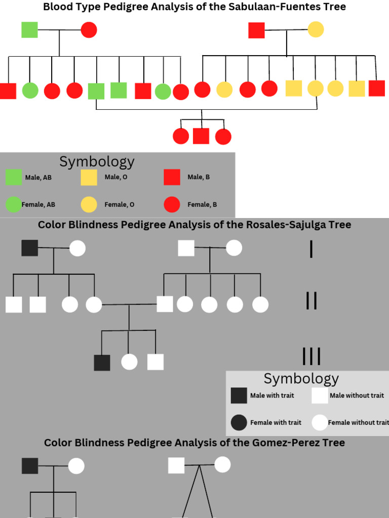Activity 5-Pedigree Analysis | PDF