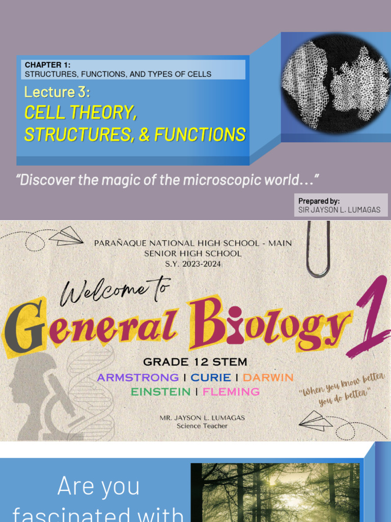 BIO1 - Lecture 3.1 & 3.2 - Cell Theory, Structures & Functions ... BIO1 - Lecture 3.1 & 3.2 - Cell Theory, Structures & Functions ...