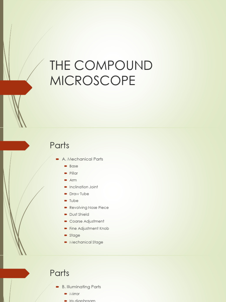 The Compound Microscope | PDF