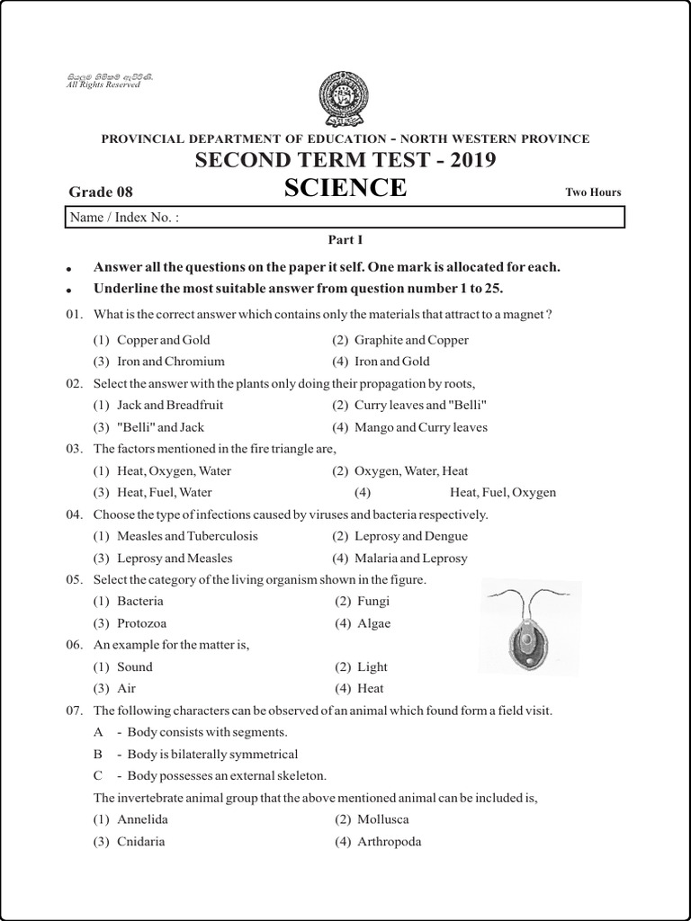 Grade 8 Science 2nd Term Test Paper | PDF | Central Nervous System | Water