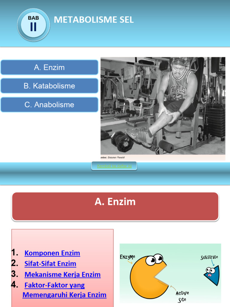 Bab Ii. Enzim Dan Metabolisme Sel | PDF | Sains & Matematika