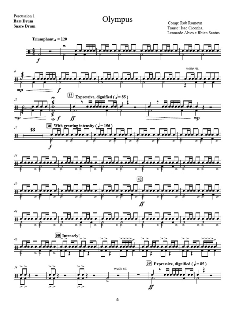 Percussion 1 | PDF | Musical Instruments | Music Technology