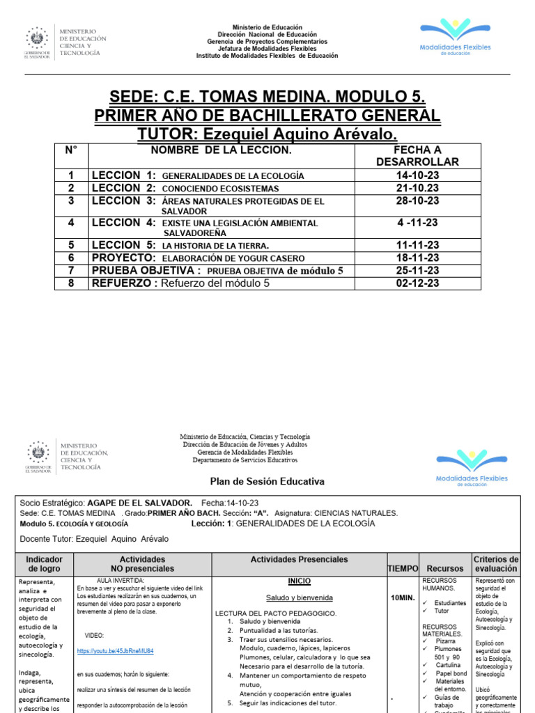 MODULO 5 PRIMER AÑO Planificación Didáctica | PDF | Evaluación | El ...
