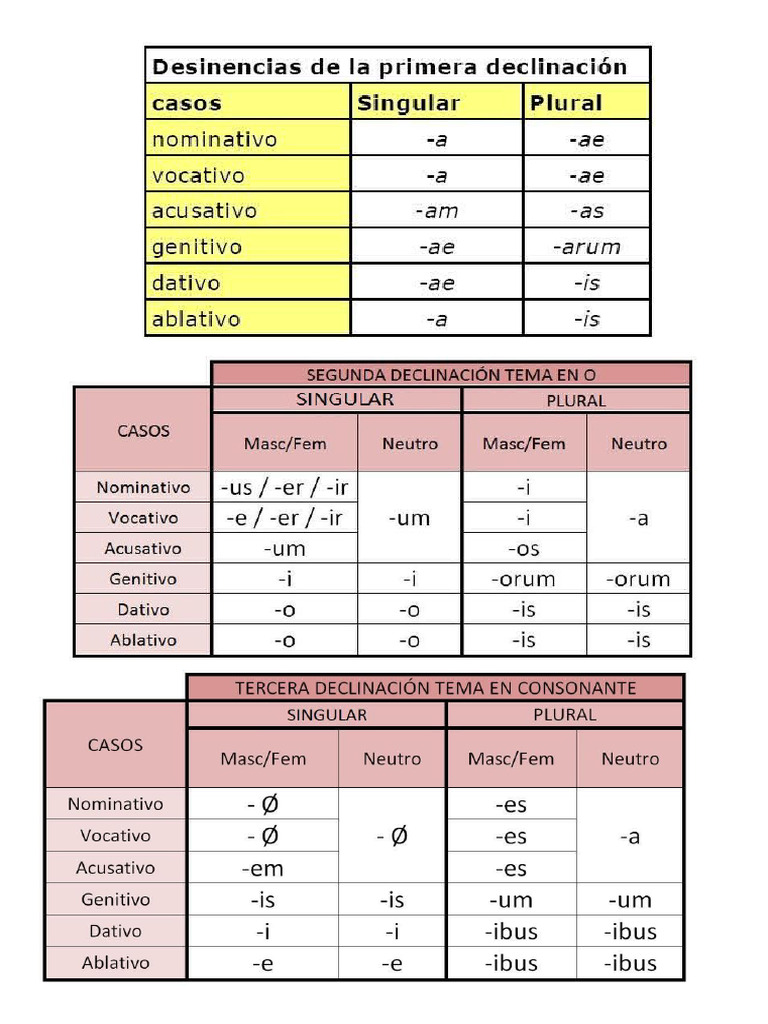 Declinaciones Latín | PDF