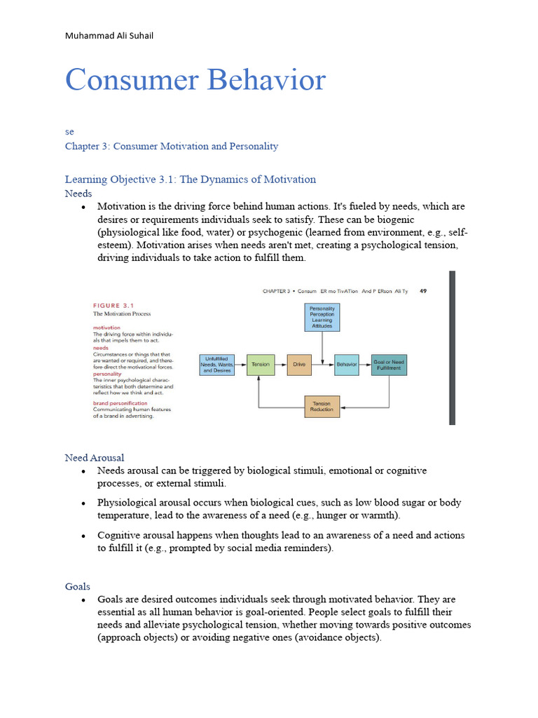 Consumer Behavior Summary | PDF