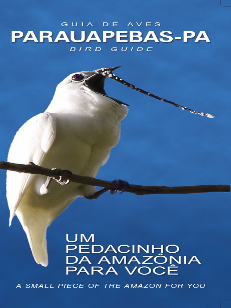 Guia de Aves | PDF